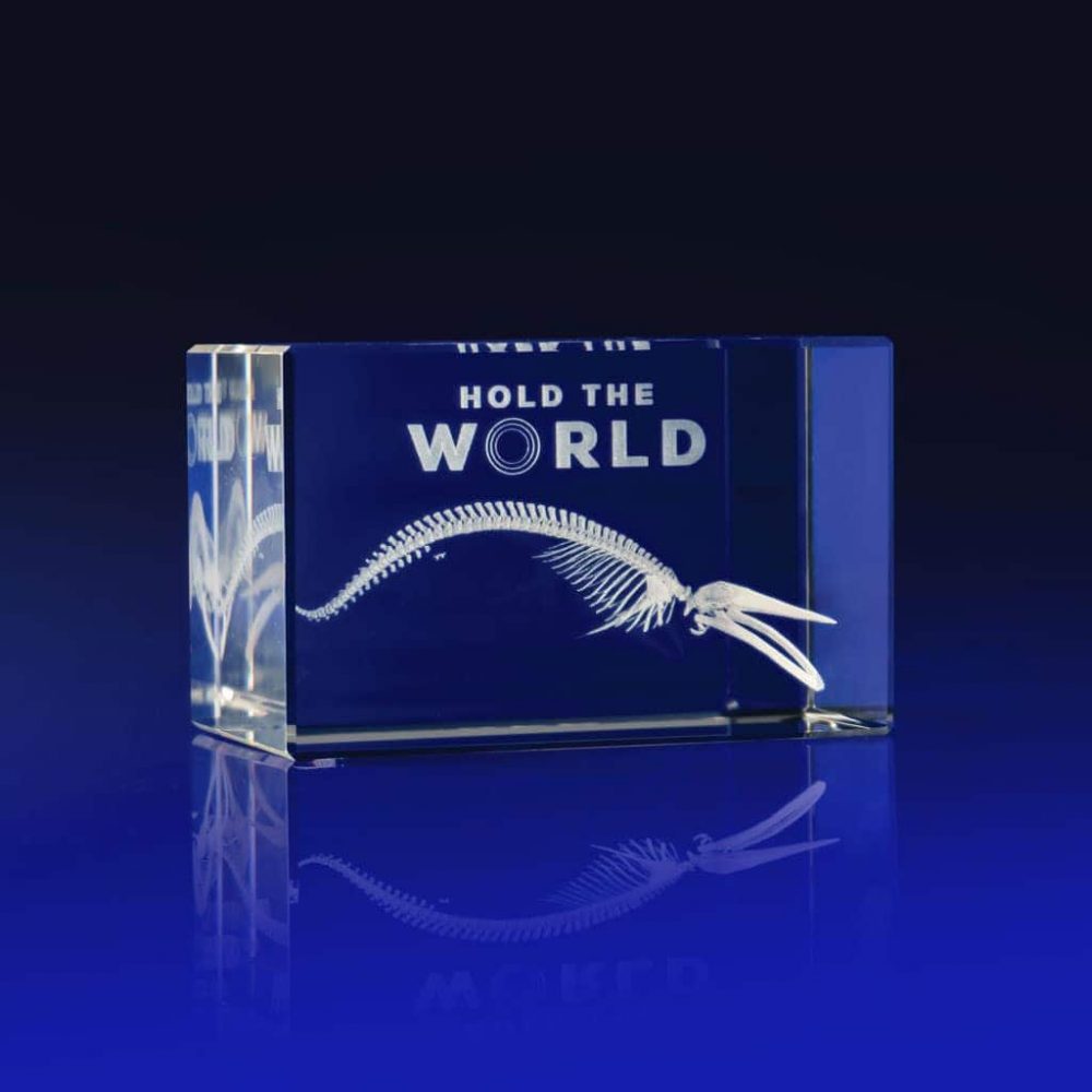 Rectangle Crystal Awards | 3D Engarved Crystal Awards | Laser Crystal